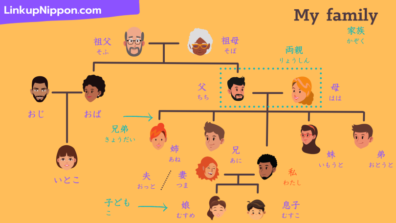 Efficient way to study Japanese vocabulary for free