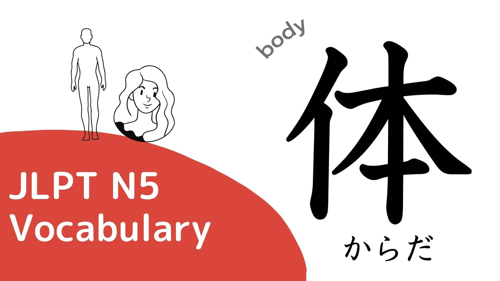 Basic Japanese Vocabulary #9-1 : body -体(からだ)-